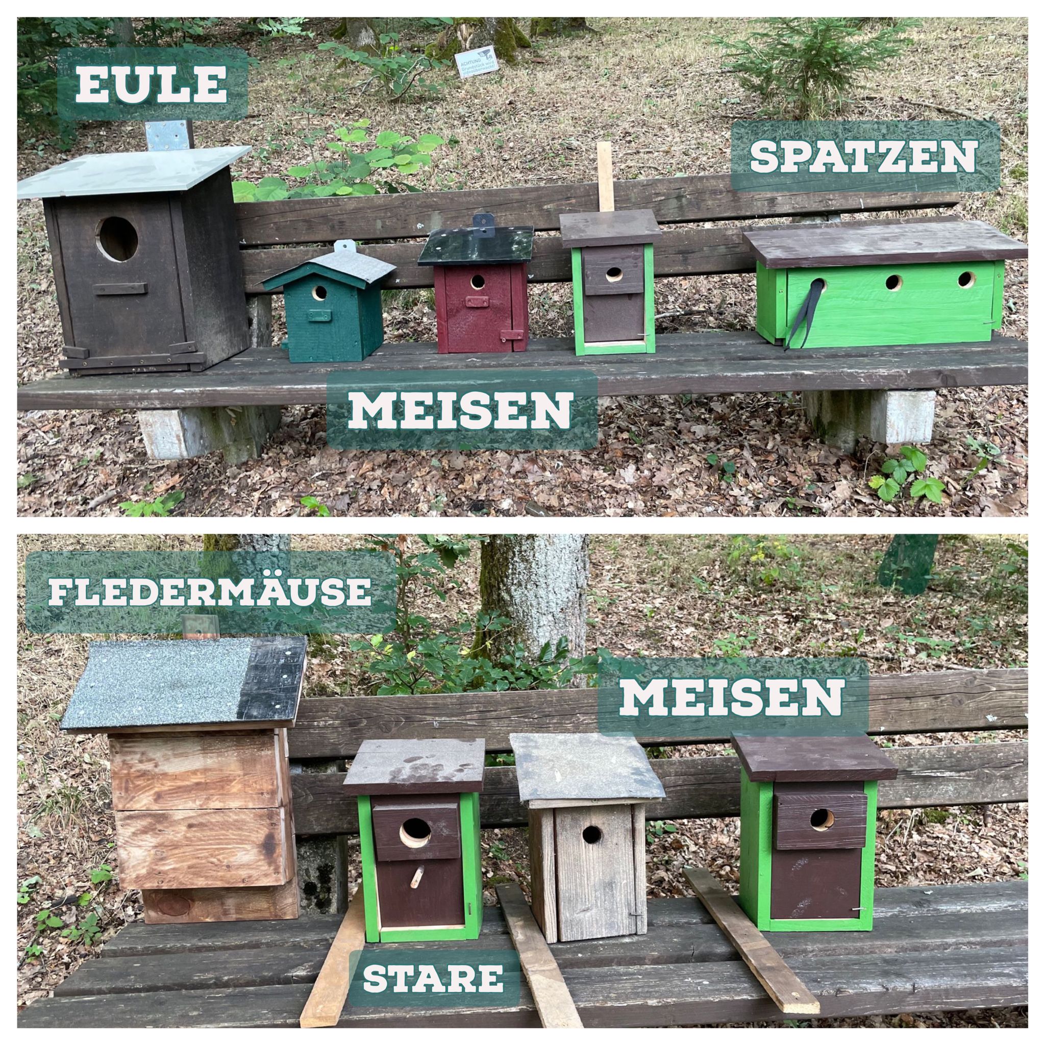 Spannende Welcher Nistkasten Fur Welchen Vogel Bild